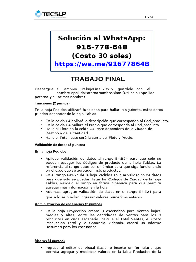 Indicaciones Del Trabajo Final - TECSUP | PDF | Microsoft Excel | Hoja de cálculo