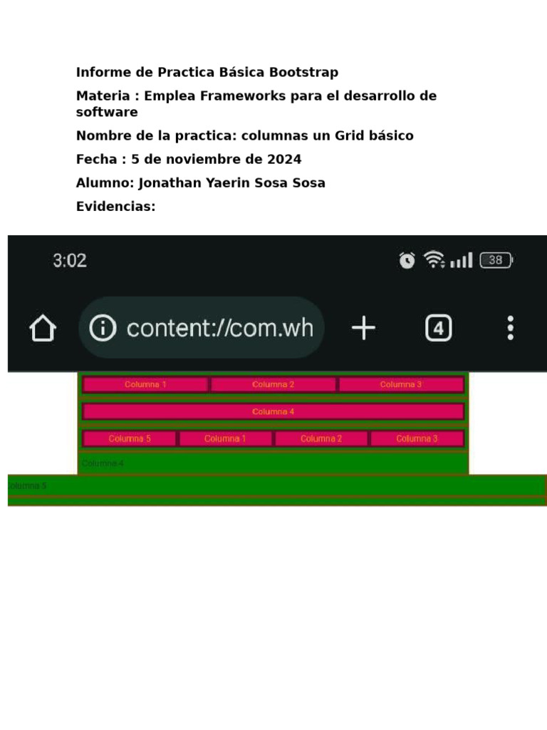 Informe de Practica 2 Básica Bootstrap | PDF