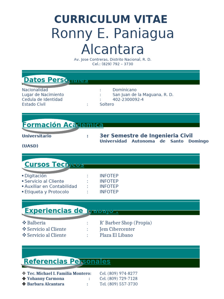 Currirculum Vitae - Ronny E. Paniagua Alcantara | PDF