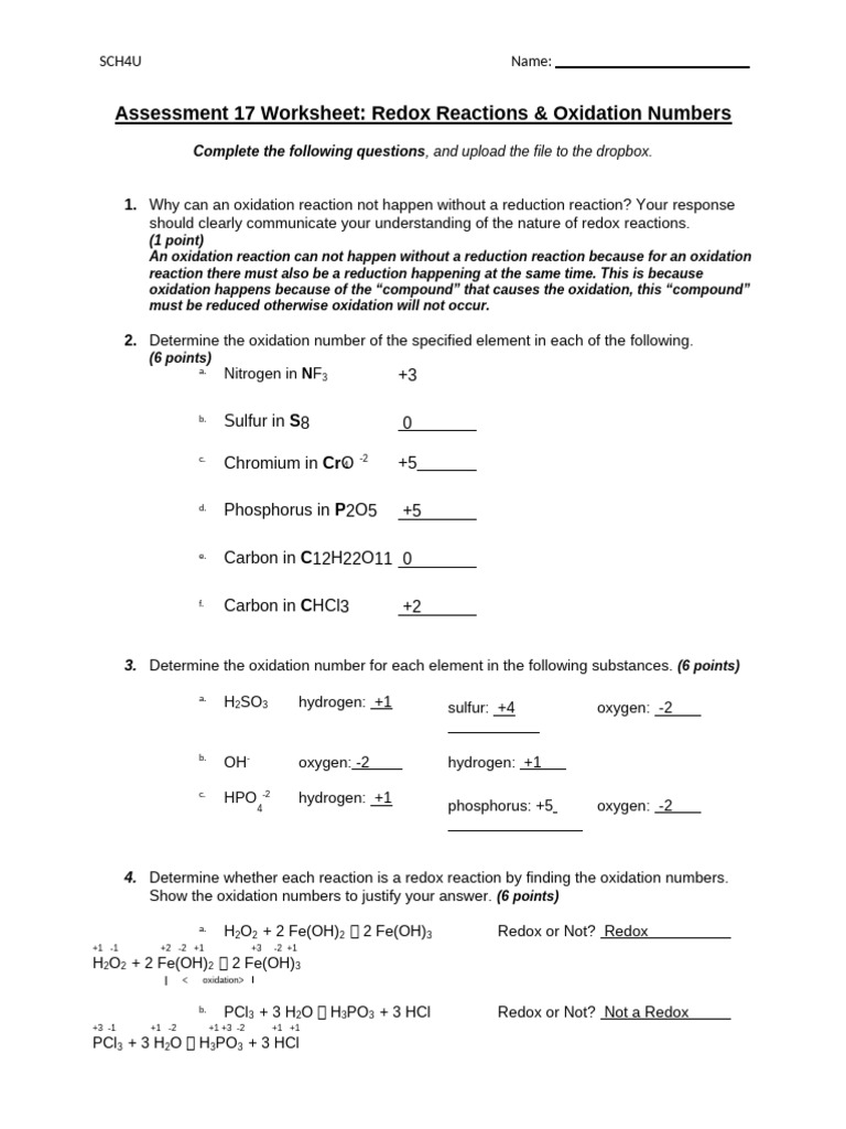 Assessment 17 Worksheet | PDF | Redox | Chemical Reactions