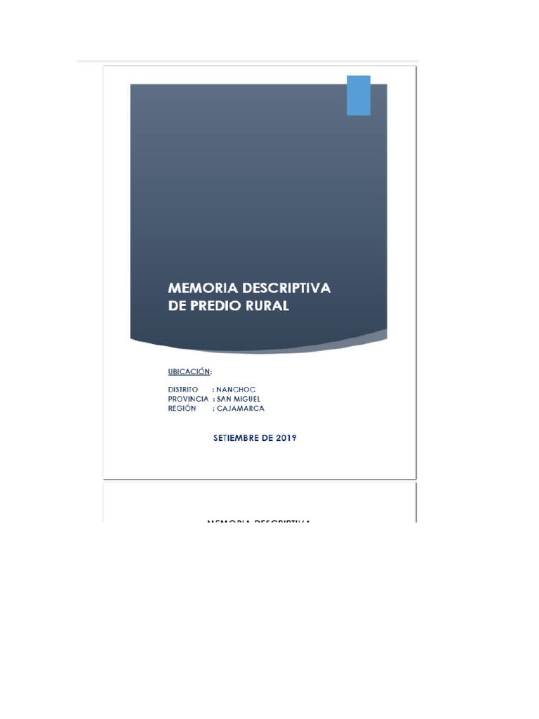Meoria Descriptiva | PDF