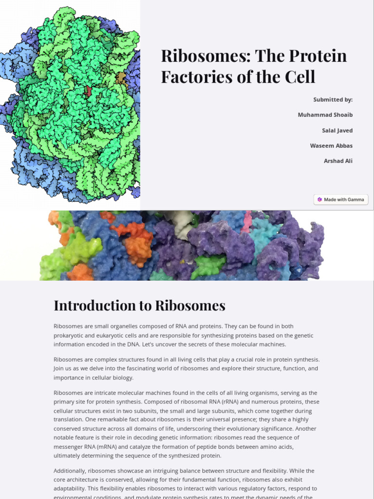 Ribosomes The Protein Factories of The Cell | PDF | Translation (Biology) | Ribosome