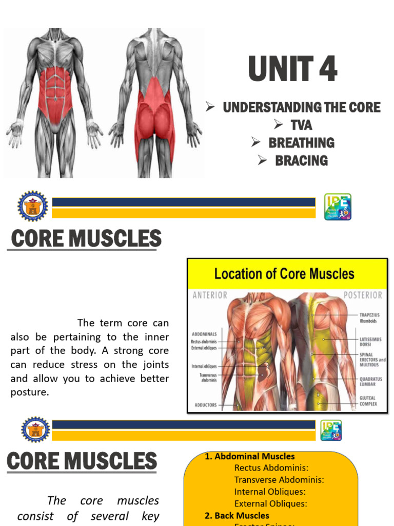 Core Stability: TVA and Bracing Techniques | PDF | Abdomen | Breathing