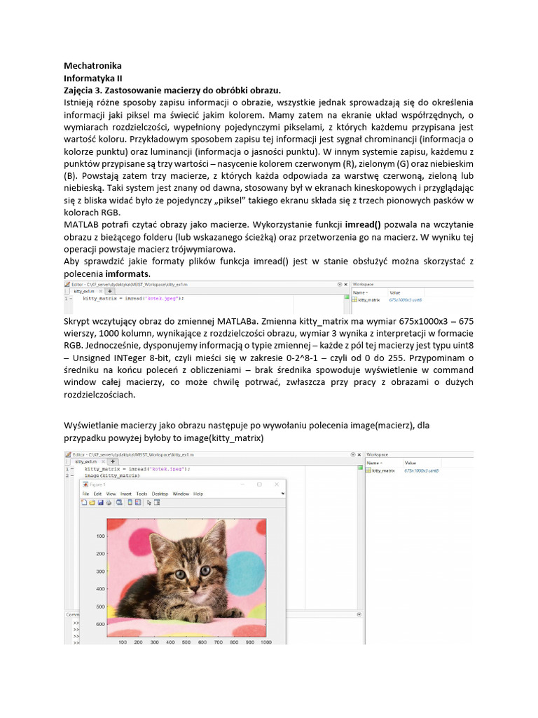 Instrukcja Zajecia 2 2 | PDF