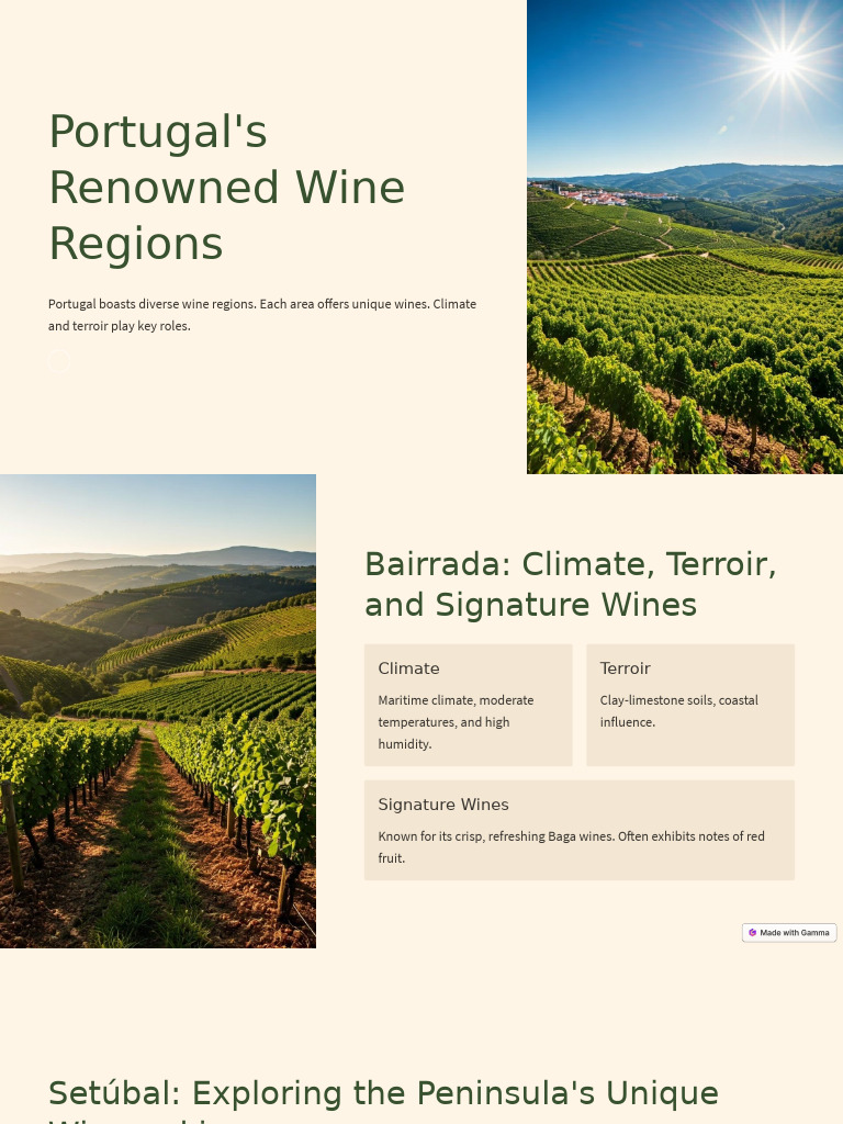 Portugal's Unique Wine Regions Guide | PDF