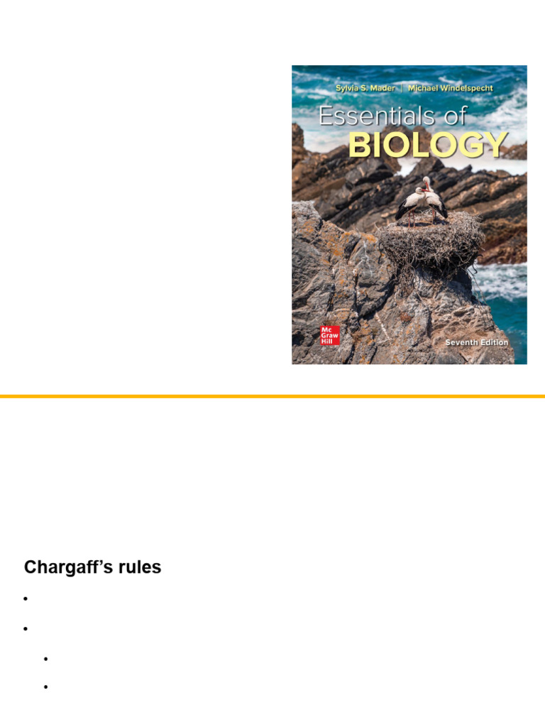 Mader - Essentials - 7e - Chapter 11 Part 2 | PDF | Translation (Biology) | Operon