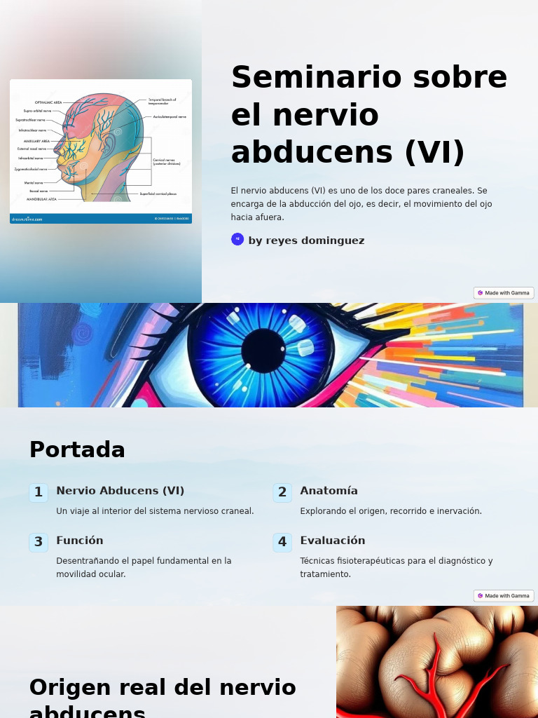 Seminario Sobre El Nervio Abducens VI | PDF | Nervio | Sistema nervioso