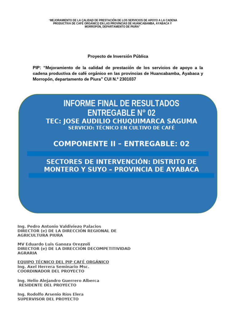 Informe Pip Cafe Entregable Ii Noviembre | PDF | café | Agricultura