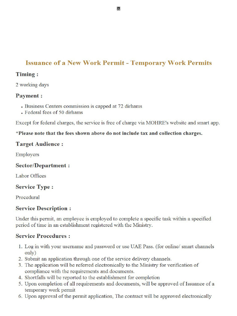 Issuance of A New Work Permit - Temporary Work Permits | PDF