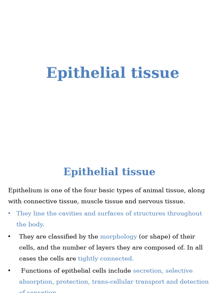 Epithelial Tissue | PDF | Epithelium | Tissue (Biology)