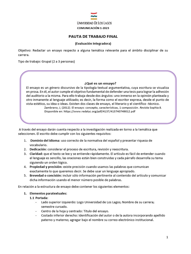 PAUTA DE TRABAJO ENSAYO - Base | PDF | Ensayos | Evaluación