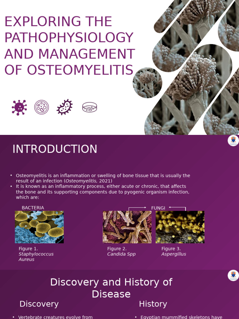 Osteomyelitis Presentation 102 | PDF | Infection | Diseases And Disorders