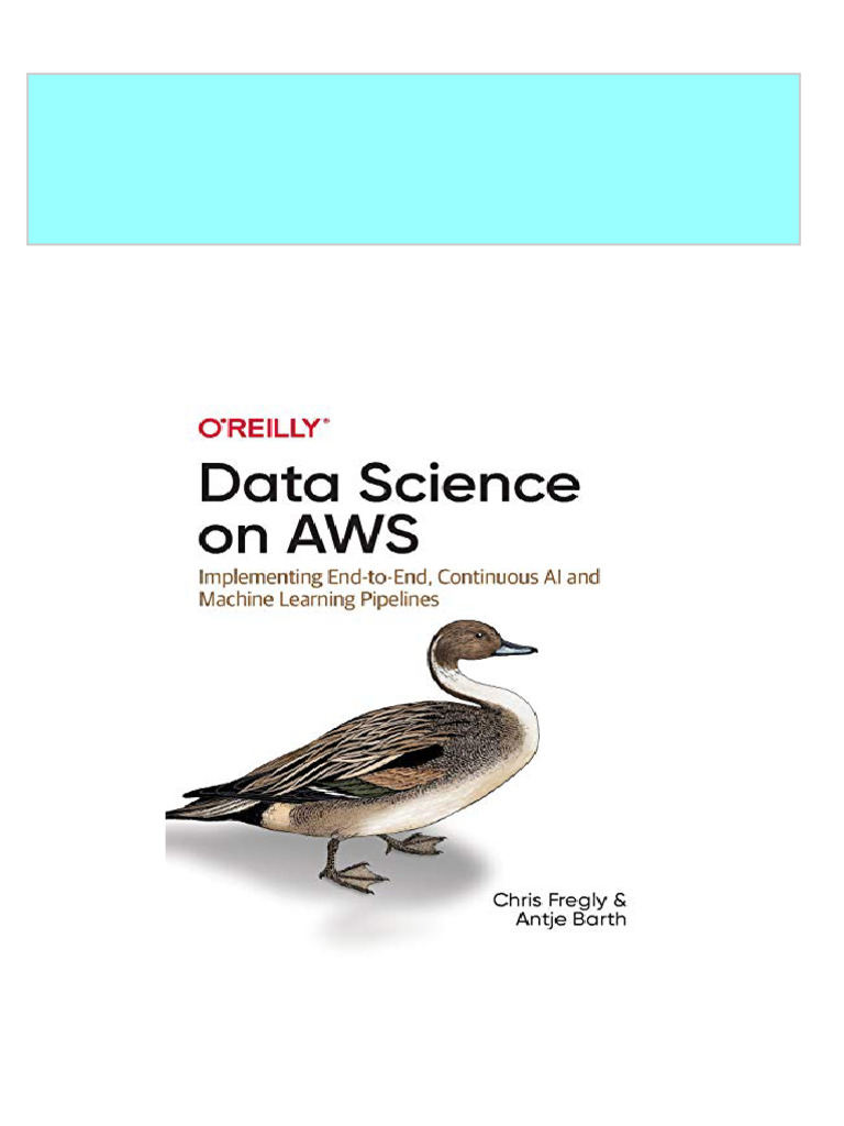 PDF Data Science On AWS Implementing End To End Continuous AI and ... PDF Data Science On AWS Implementing End To End Continuous AI and ...