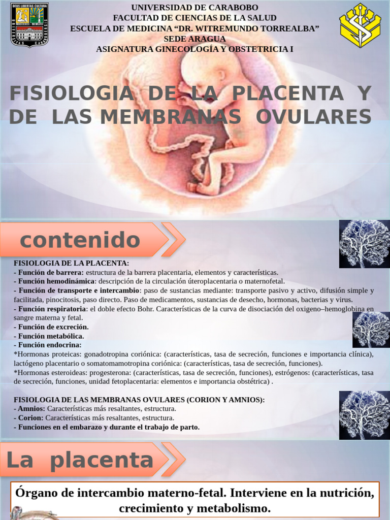 Fisiología de La Placenta y de Las Membranas Ovulares | PDF | Placenta | El embarazo