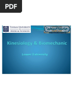 MTP and IP Joint Overview in Foot | PDF | Foot | Toe