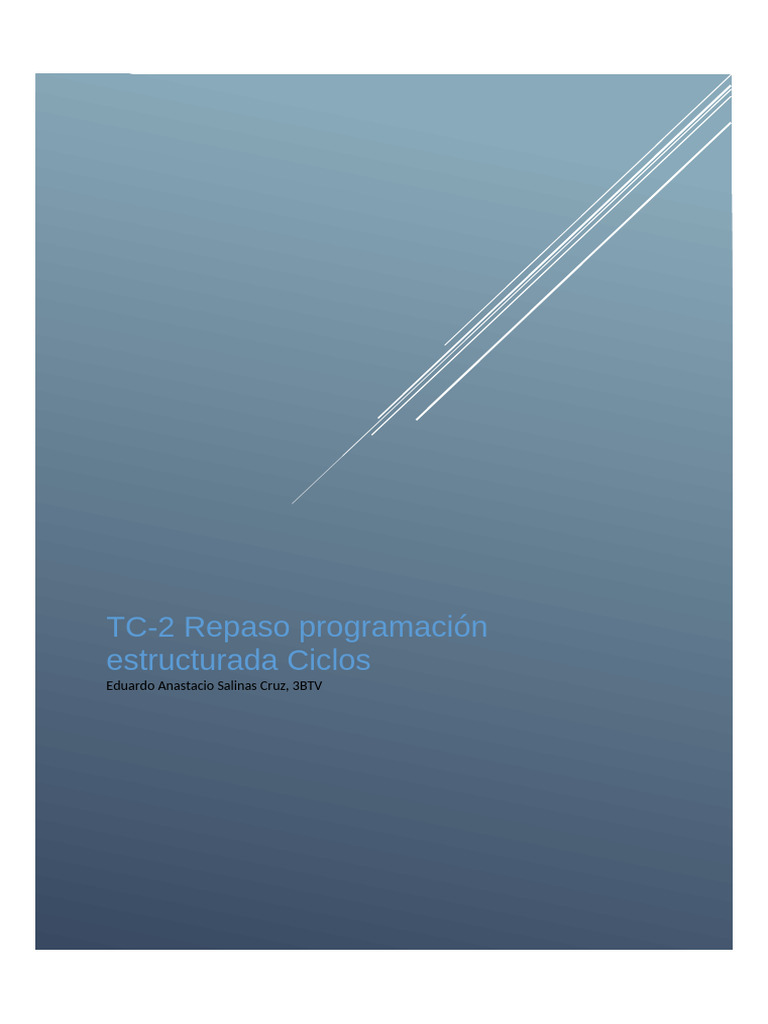 TC-2 Repaso Programación Estructurada Ciclos | PDF