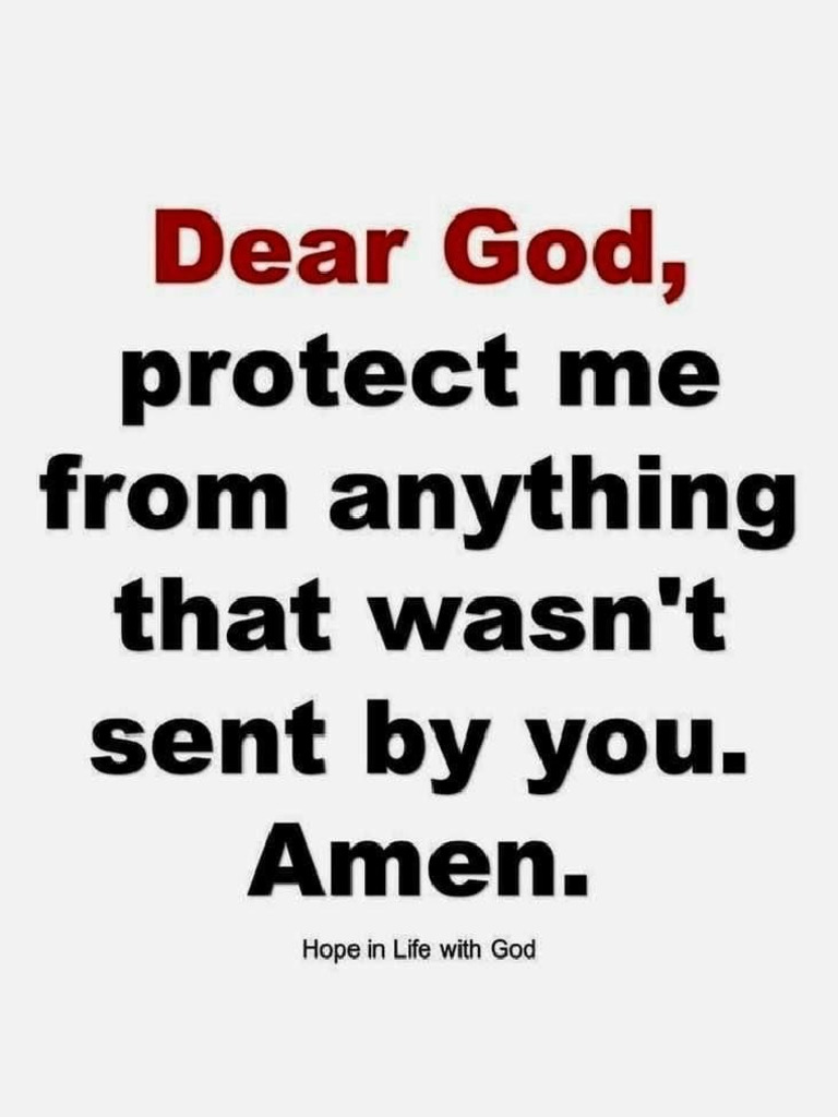 PDF Phoenix 20241201 004051 | PDF