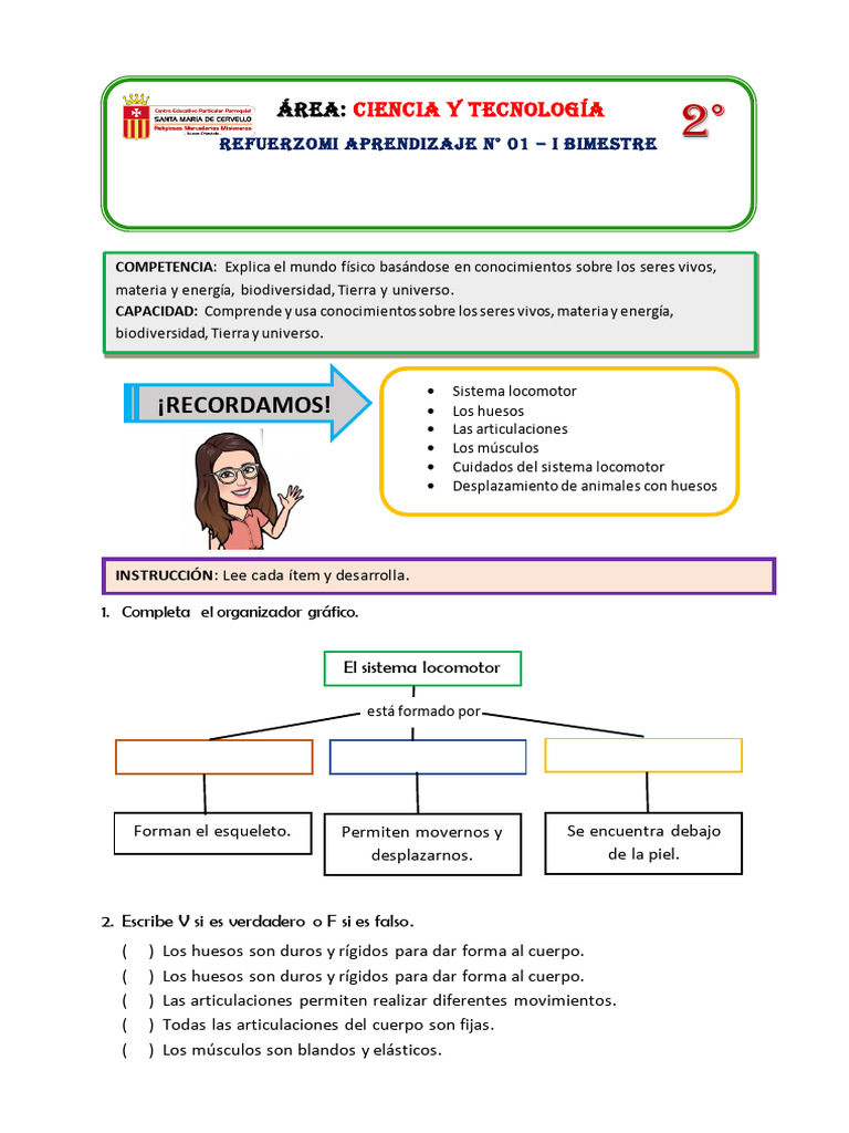 Refuerzo de Aprendizaje N01 - Ciencia y Tecnologia - I Bimestre | PDF | Esqueleto | Sistema ...