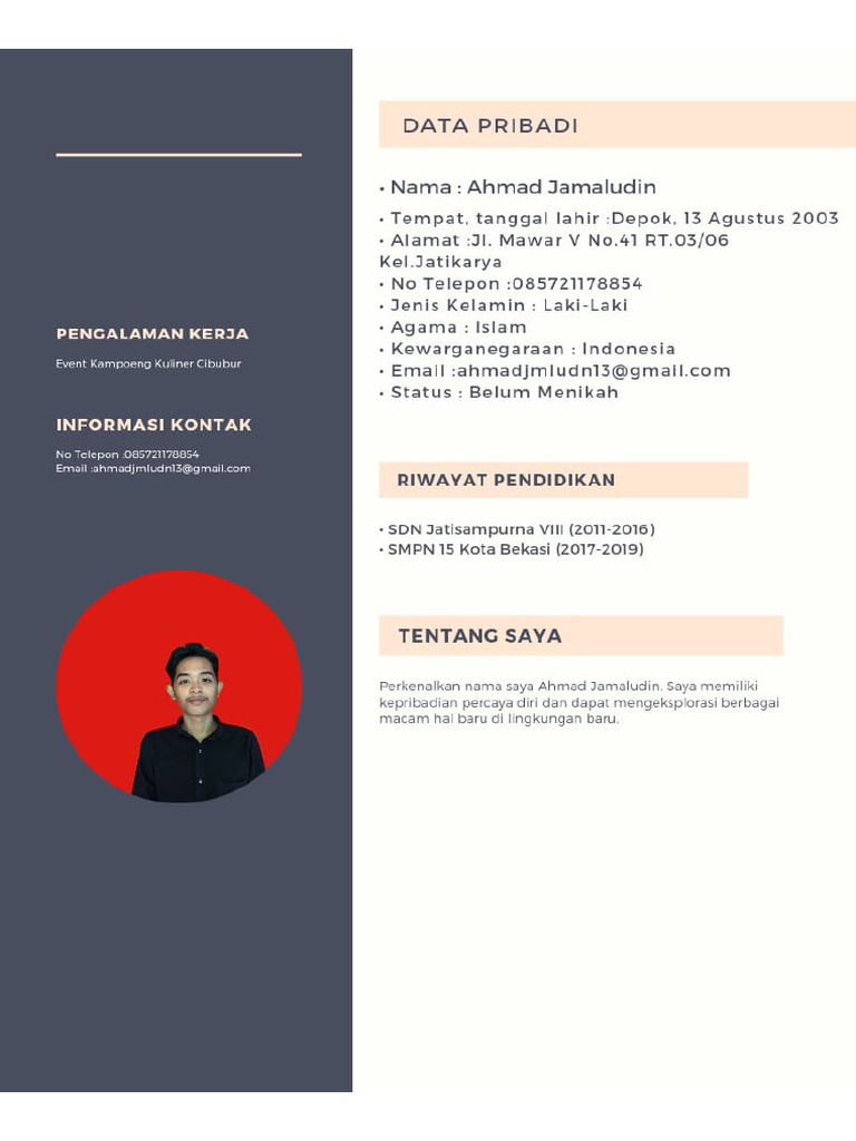 CV Ahmad Jamaludin | PDF