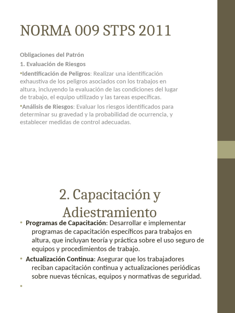 Norma 009 Stps 2011 | PDF