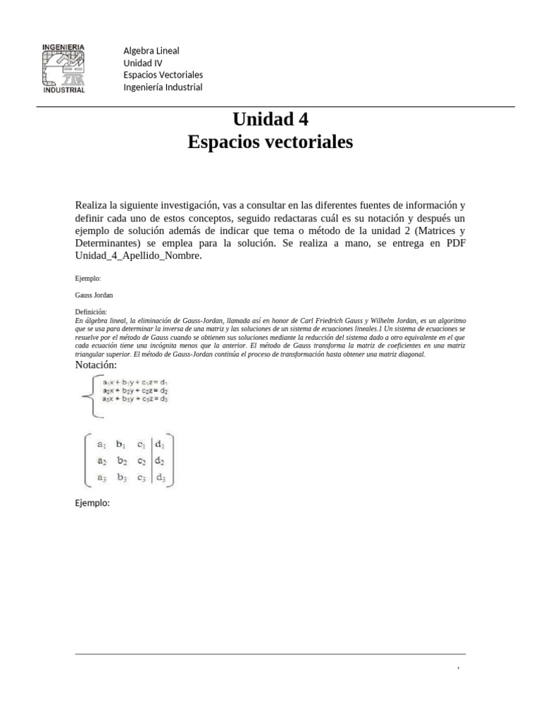 Espacios Vectoriales: Definiciones y Ejemplos | PDF
