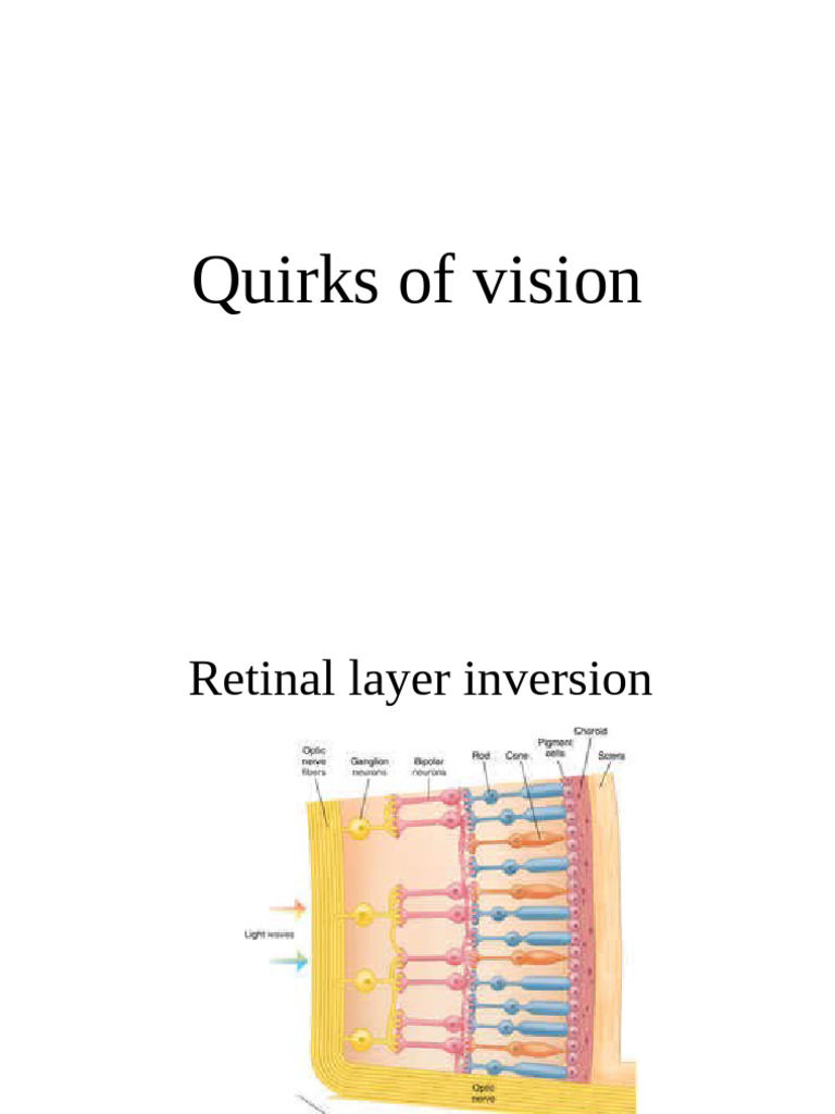Retinal Vision Quirks Explained | PDF