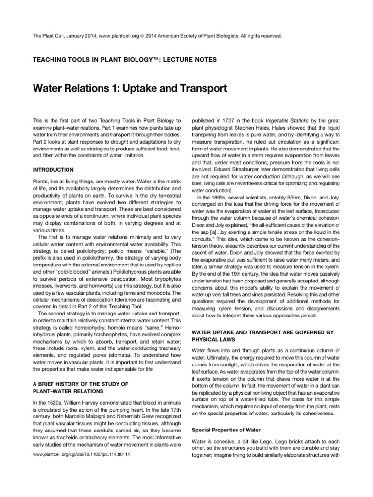 Lecture Note 1 IB | PDF | Root | Diffusion