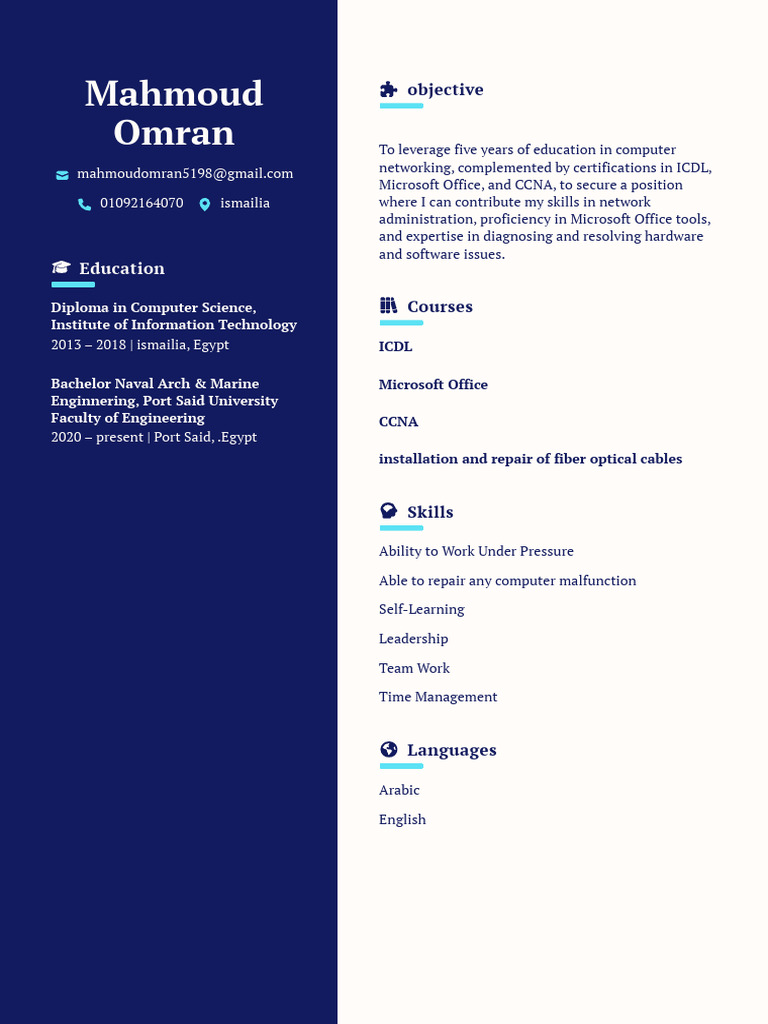 CV Mahmoud Omran | PDF