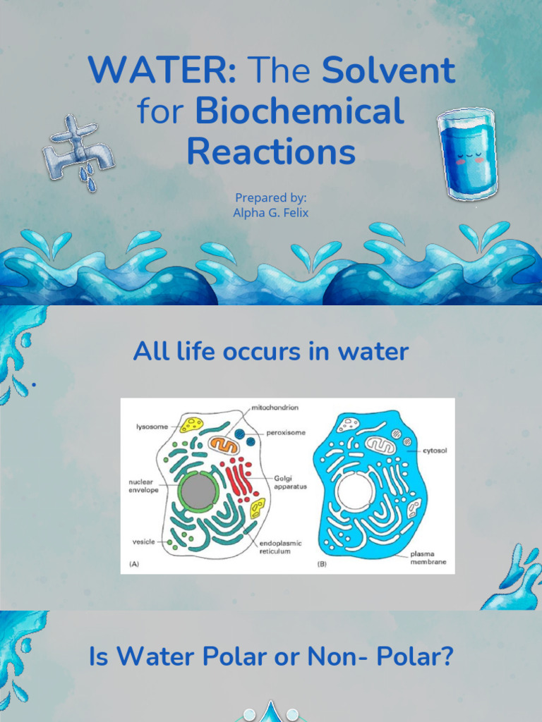 Water's Role as a Biochemical Solvent | PDF | Chemical Polarity ...