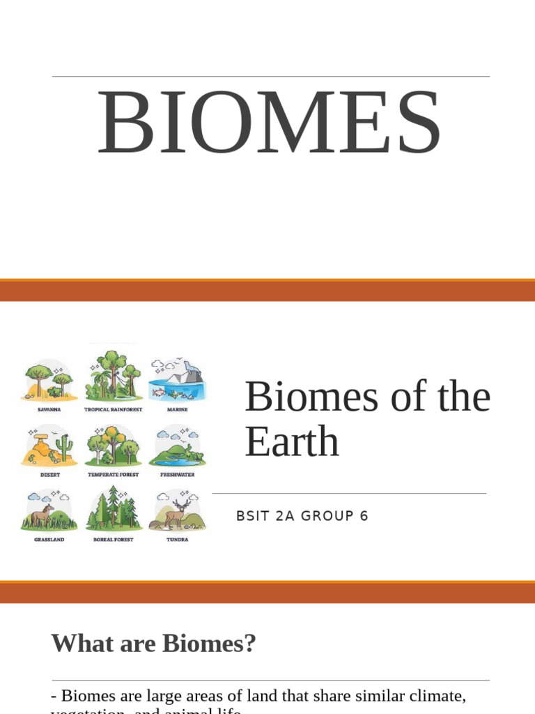 Biomes of The Earth 1 | PDF | Forests | Tropics