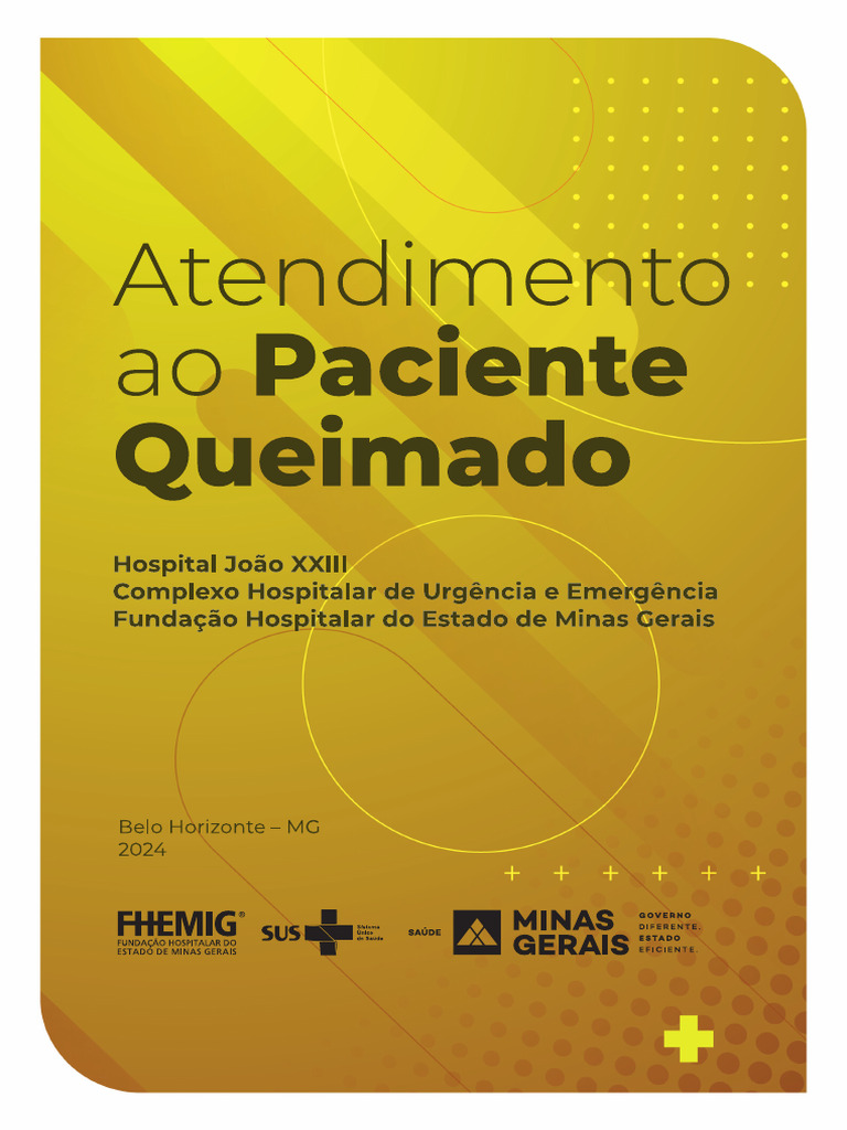 Protocolo de Atendimento a Queimados 2024 | PDF | Queimadura | Unidade ...