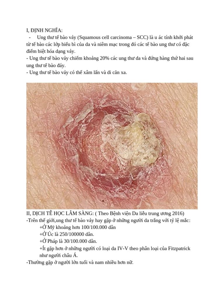 Utbm TB V y - KN&DTHLS | PDF