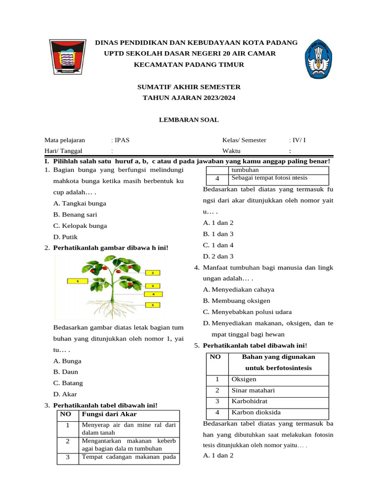 Soal Ipas Sas SMT 1 | PDF