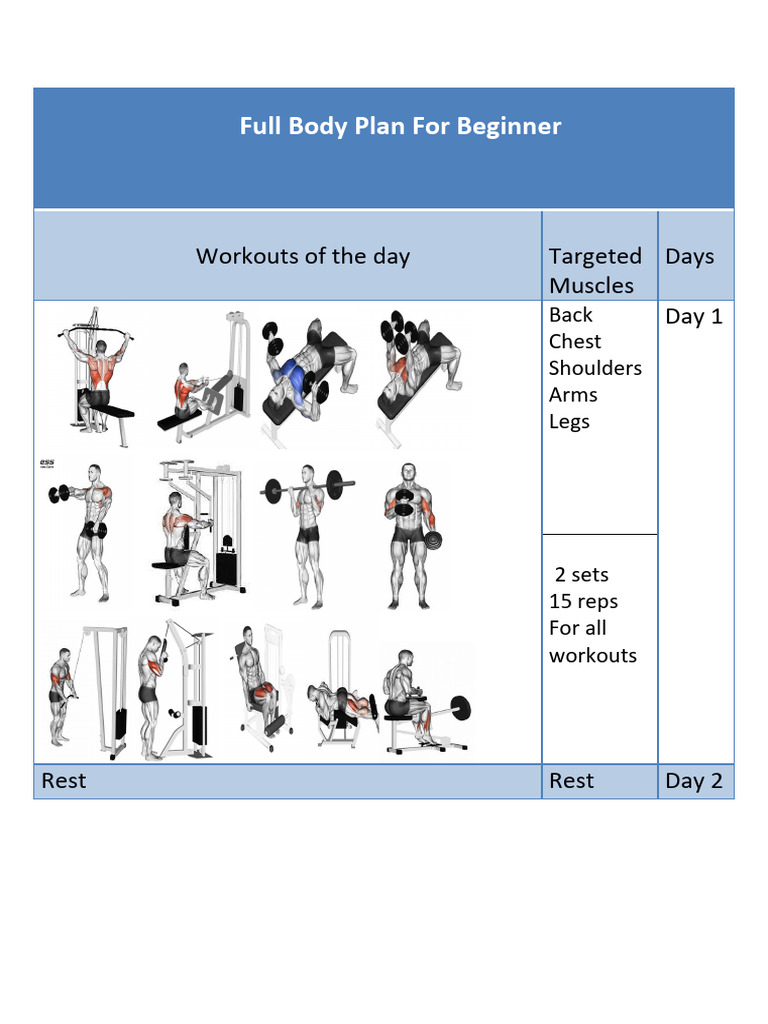 Full Body Plan For Beginner | PDF