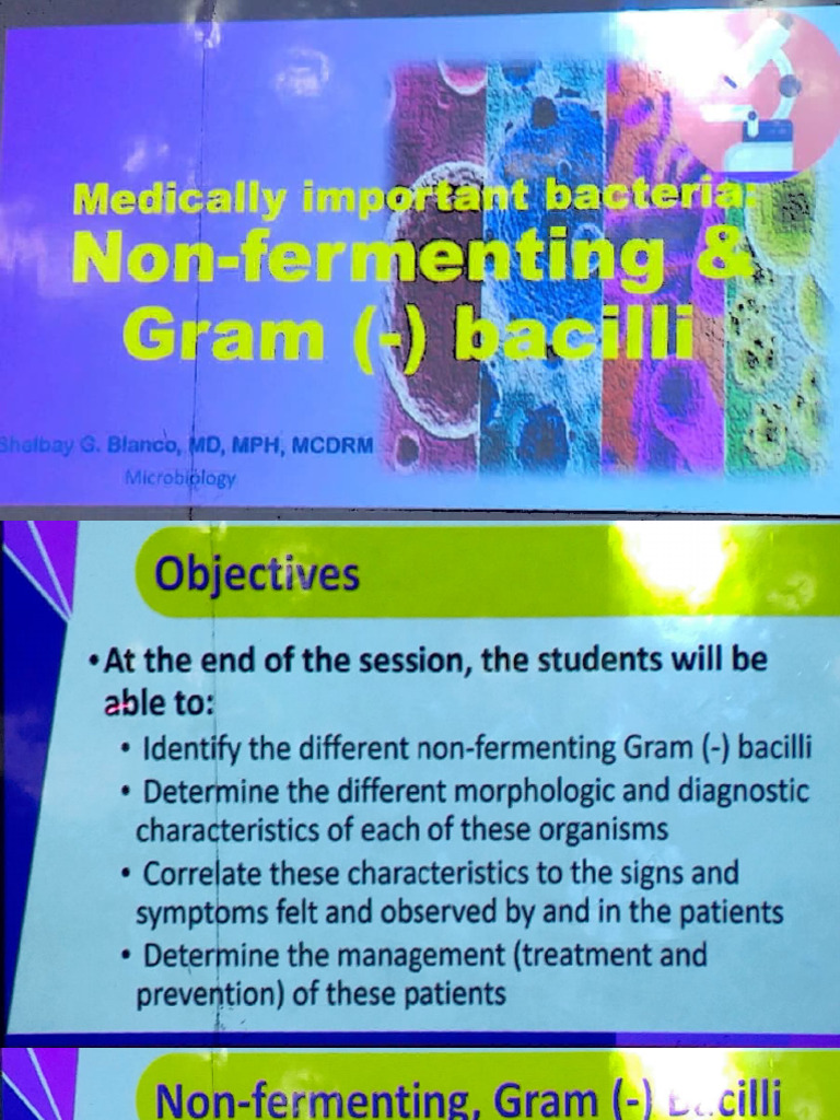 Non Fermenting Gram Negative Bacteria | PDF