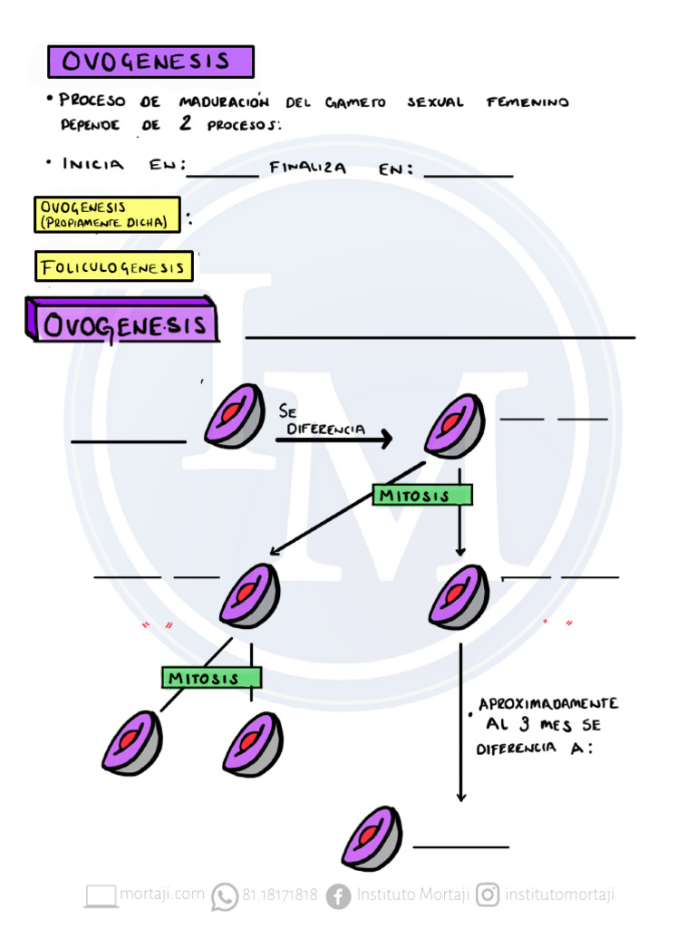 Manual Embrio DR Aaron 4 | PDF