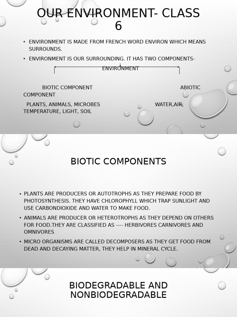 Our Environment - Class 6-1 | PDF | Ecosystem | Biodegradation