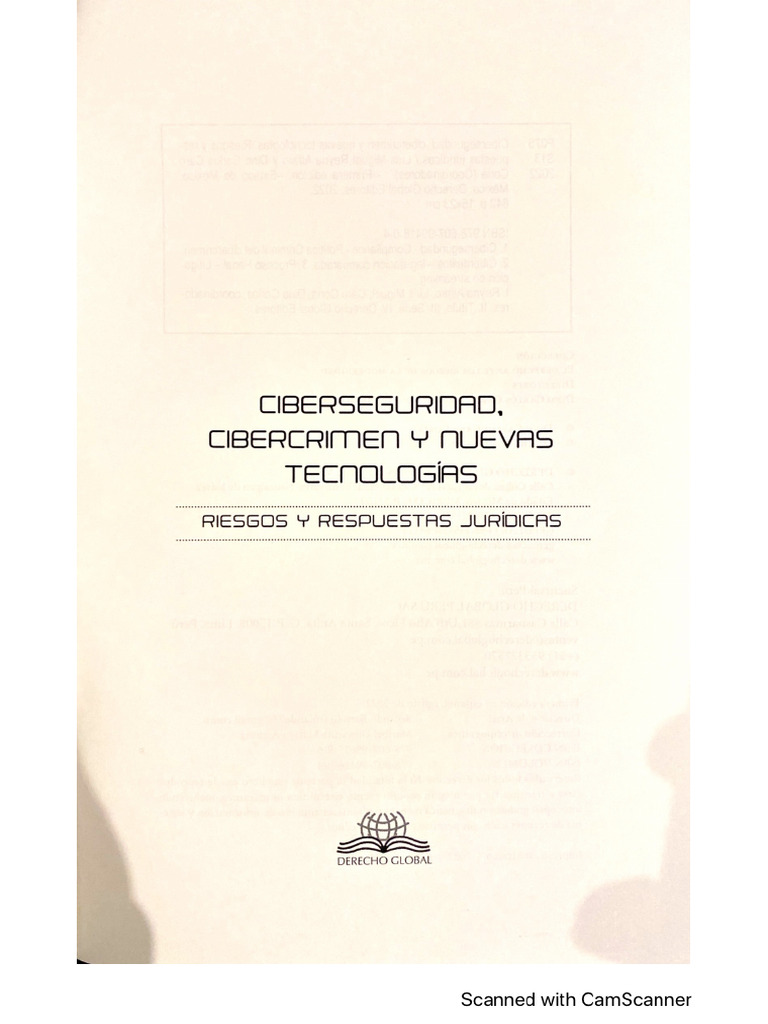 El Agente Encubierto Informatico | PDF