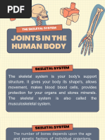 Human Skeleton All Bones Chart | PDF | Musculoskeletal System | Skeletal System