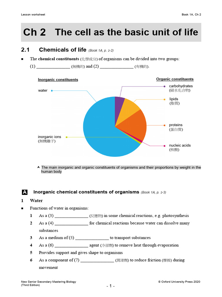 Ch2 Bio Ws With Answers | PDF | Cell (Biology) | Microscope