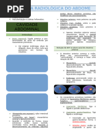 Estrutura e Funções do Peritônio | PDF | Estômago | Abdômen