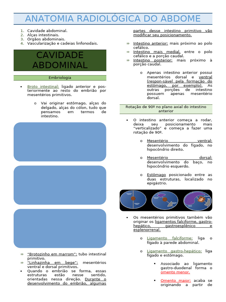 Anatomia Radiológica ABD | PDF | Pâncreas | Fígado