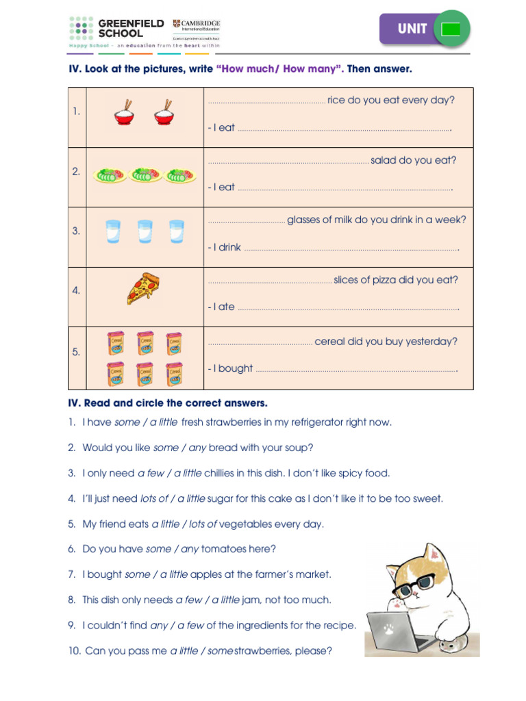 Grammar 2 and 3 How Much How Many A Few A Little Some Any Practice ...