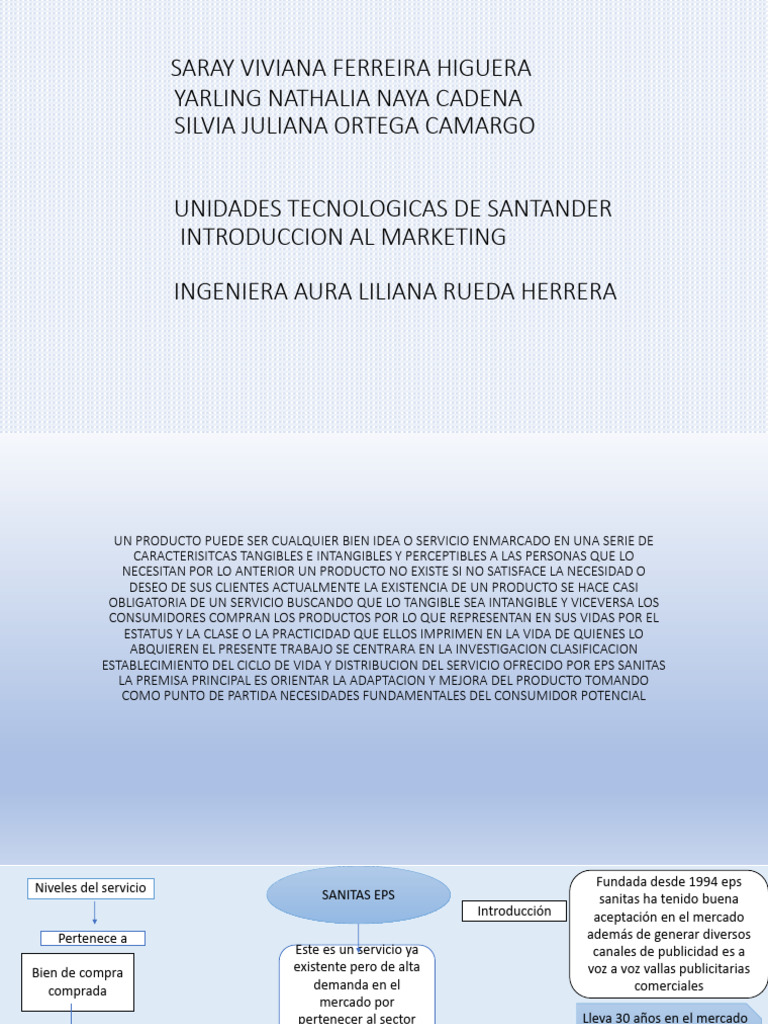 Saray Viviana Ferreira Higuera | PDF | Producto (Negocio) | Mercado (economía)