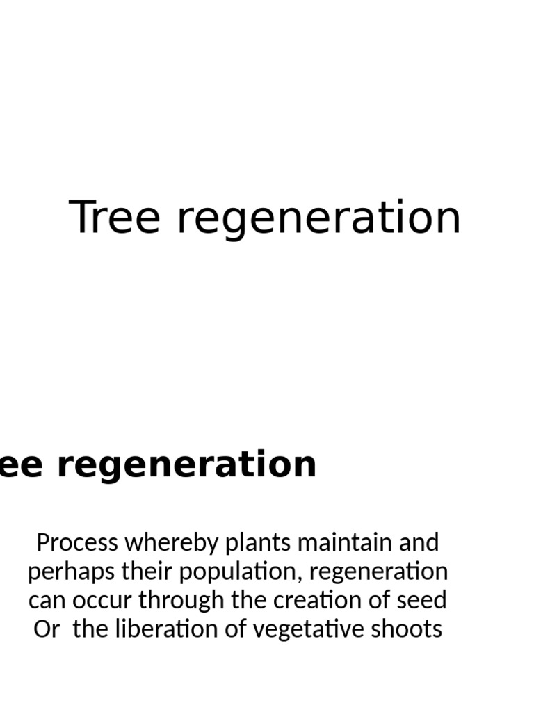 Tree Regenerati WPS Office | PDF | Plant Reproduction | Seed