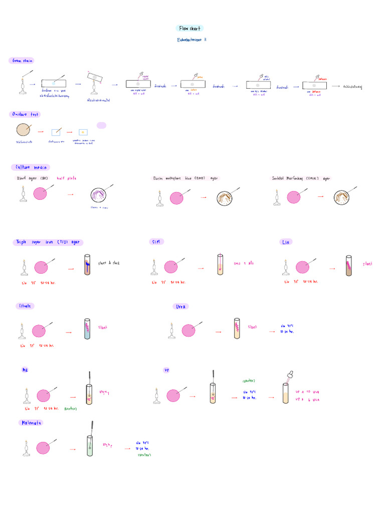 Flow Wk11 | PDF