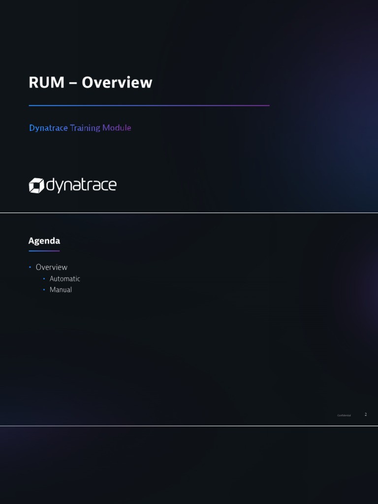 04-RUM - Overview | PDF