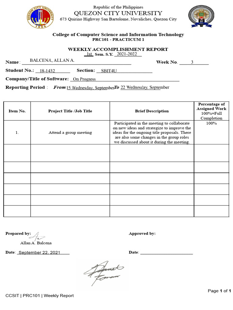Weekly Practicum Report Template | PDF