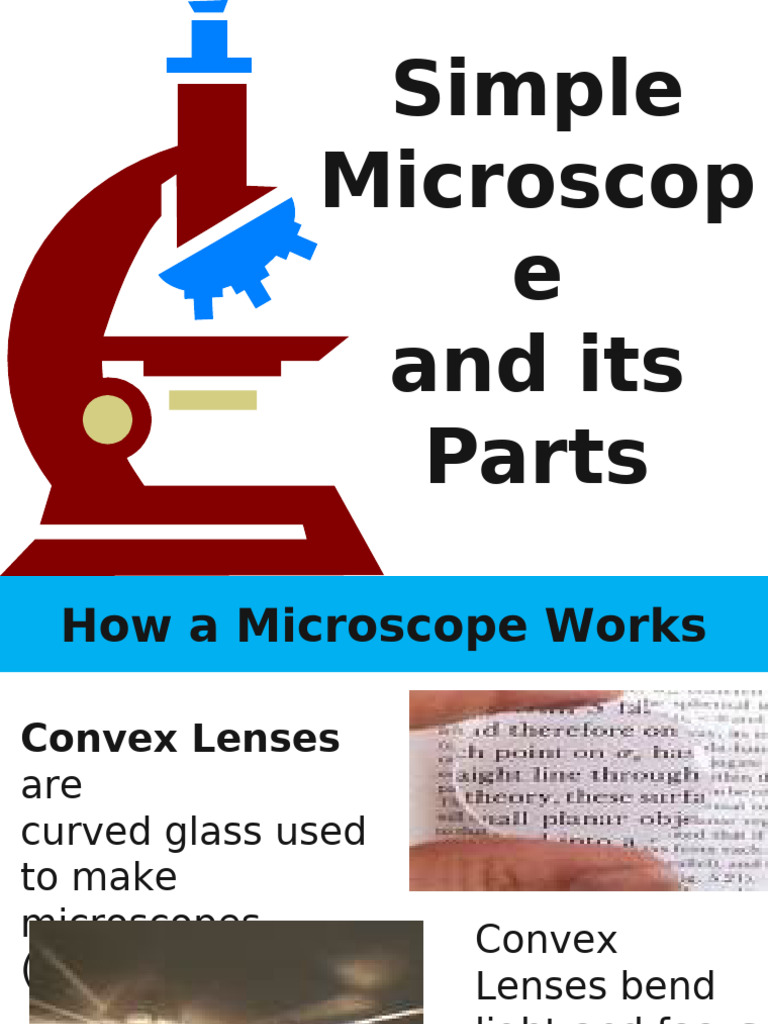 Microscope | PDF | Microscope | Electron Microscope