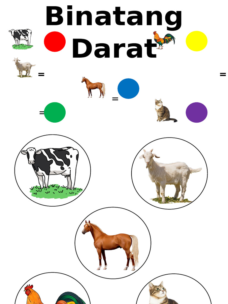 Materi Mencocokan Warna Binatang Darat | PDF